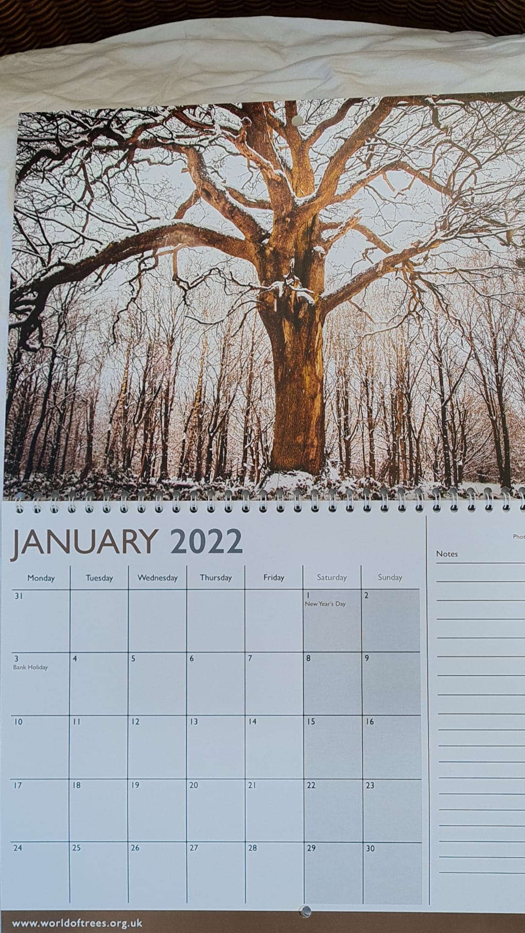 The Remarkable World of Trees Calendar 2021 - The Remarkable World of Trees